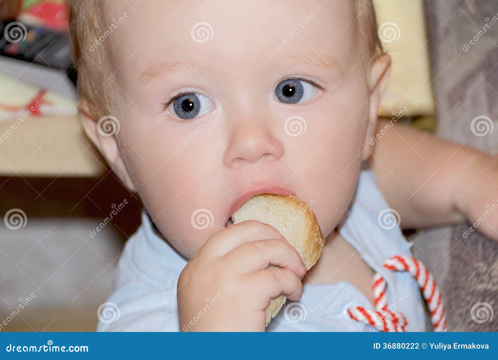 Cute baby boy eating bread stock photo. Image of people - 36880222