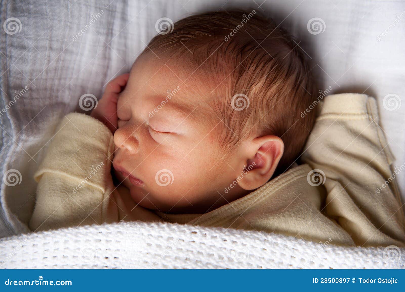 Cute Baby Boy Fast Asleep Inside His Crib Stock Image - Image of safe ...