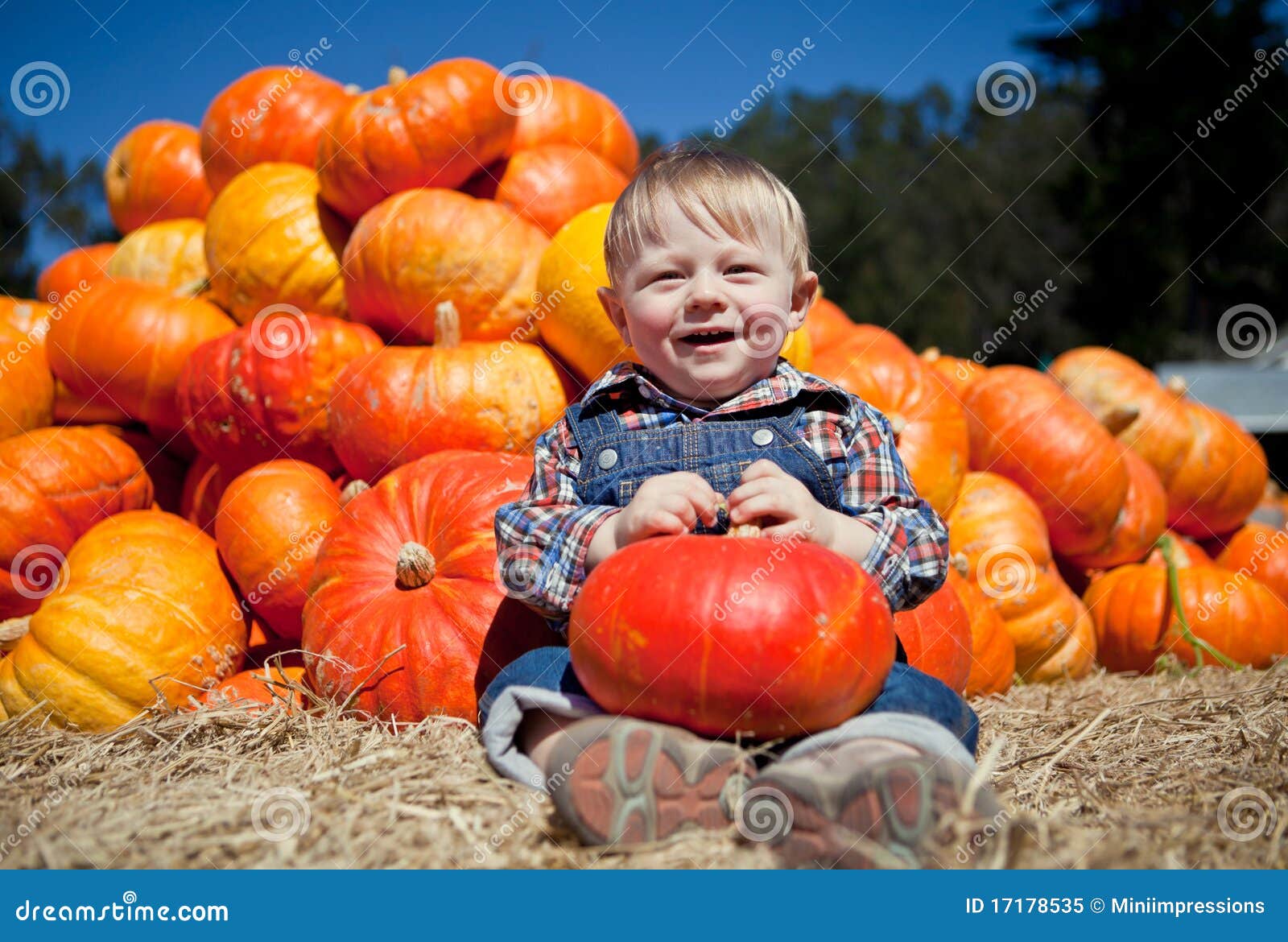 Cute Baby-boy Holding a Pumpkin Stock Image - Image of pumpkin, baby ...