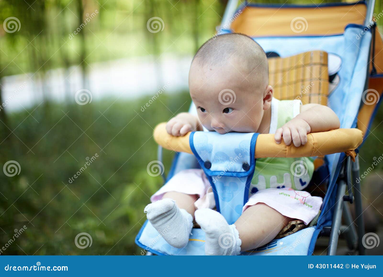 Cute Baby Boy Sitting in Stroller Stock Photo - Image of outdoor ...