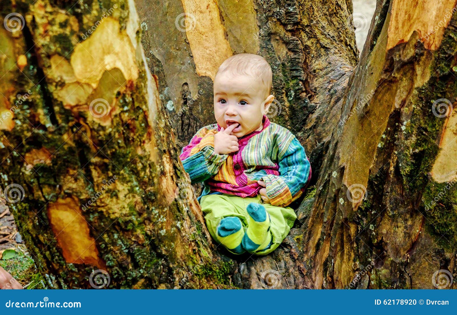 Cute Baby Boy Sitting by the Tree in the Park Stock Photo - Image of ...