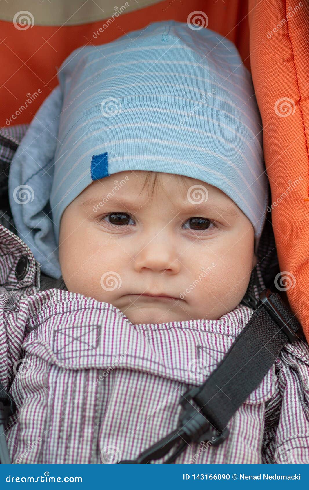Cute Baby Boy in a Stroller Stock Photo - Image of nature, beautiful ...