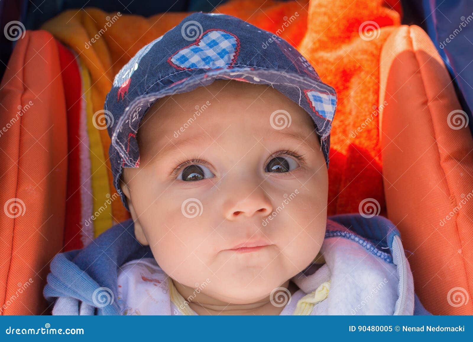 Cute Baby Boy in a Stroller Stock Image - Image of camera, nature: 90480005