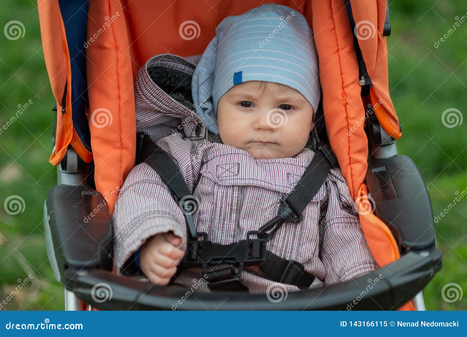 Cute Baby Boy in a Stroller Stock Image - Image of autumn, clothing ...