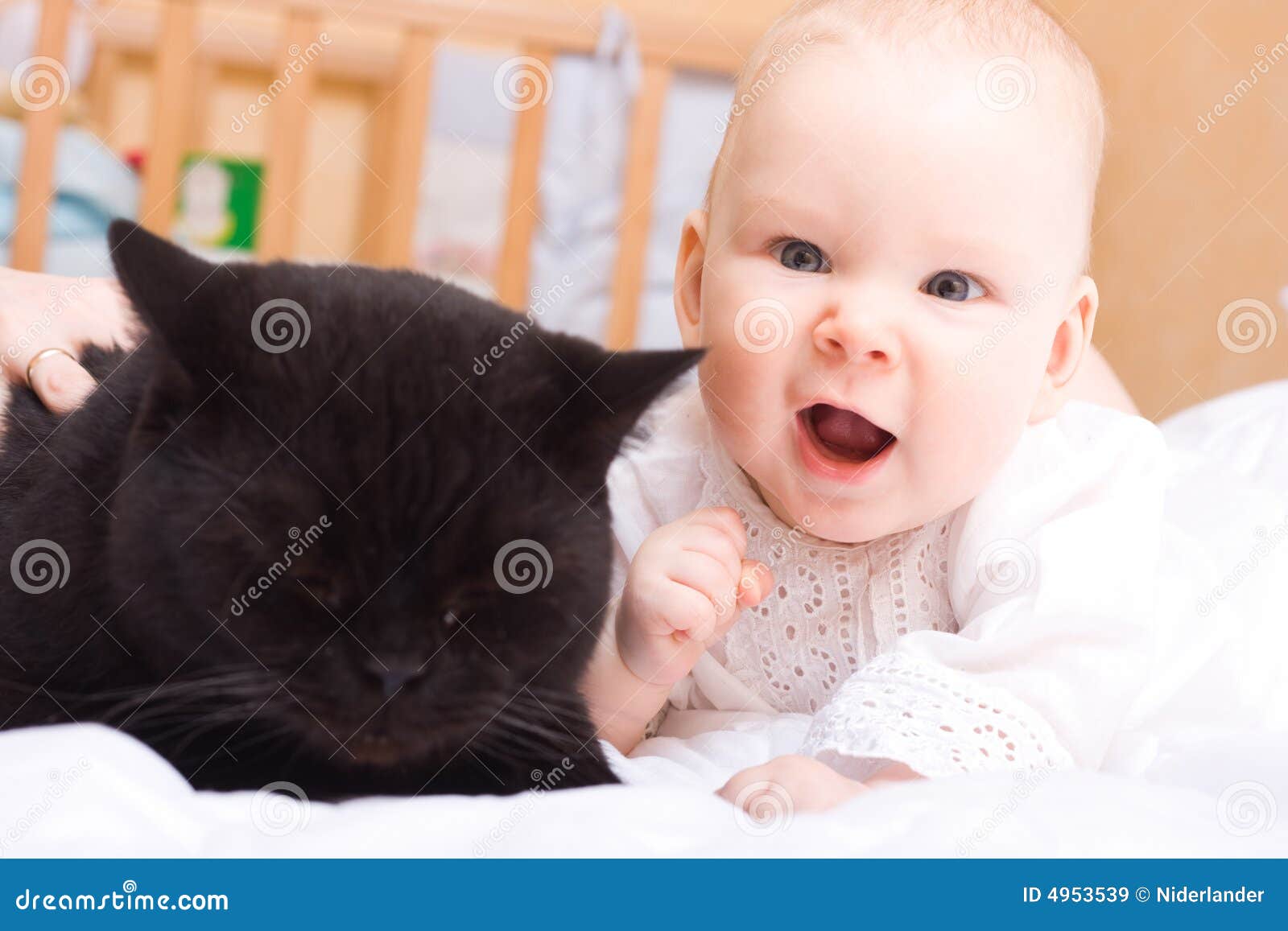 Cute baby with cat stock image. Image of smile, care, animal - 4953539