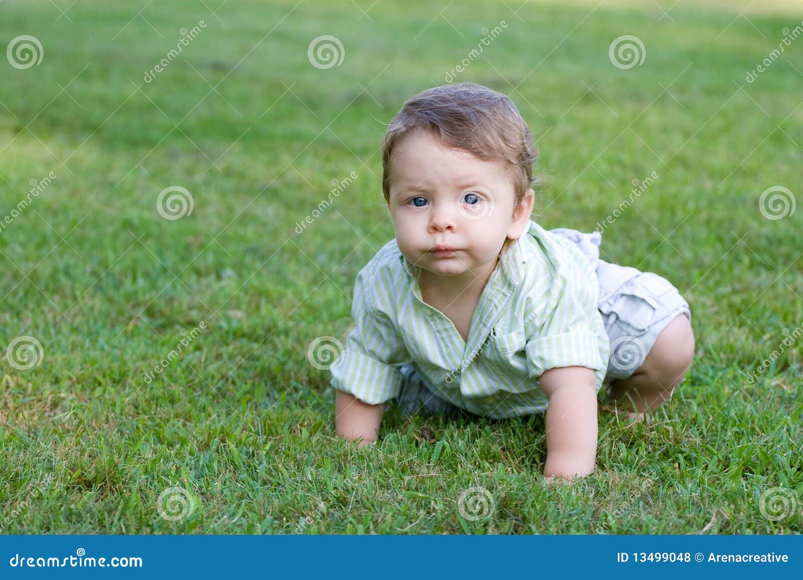 Cute Baby Crawling stock photo. Image of healthy, childhood - 13499048