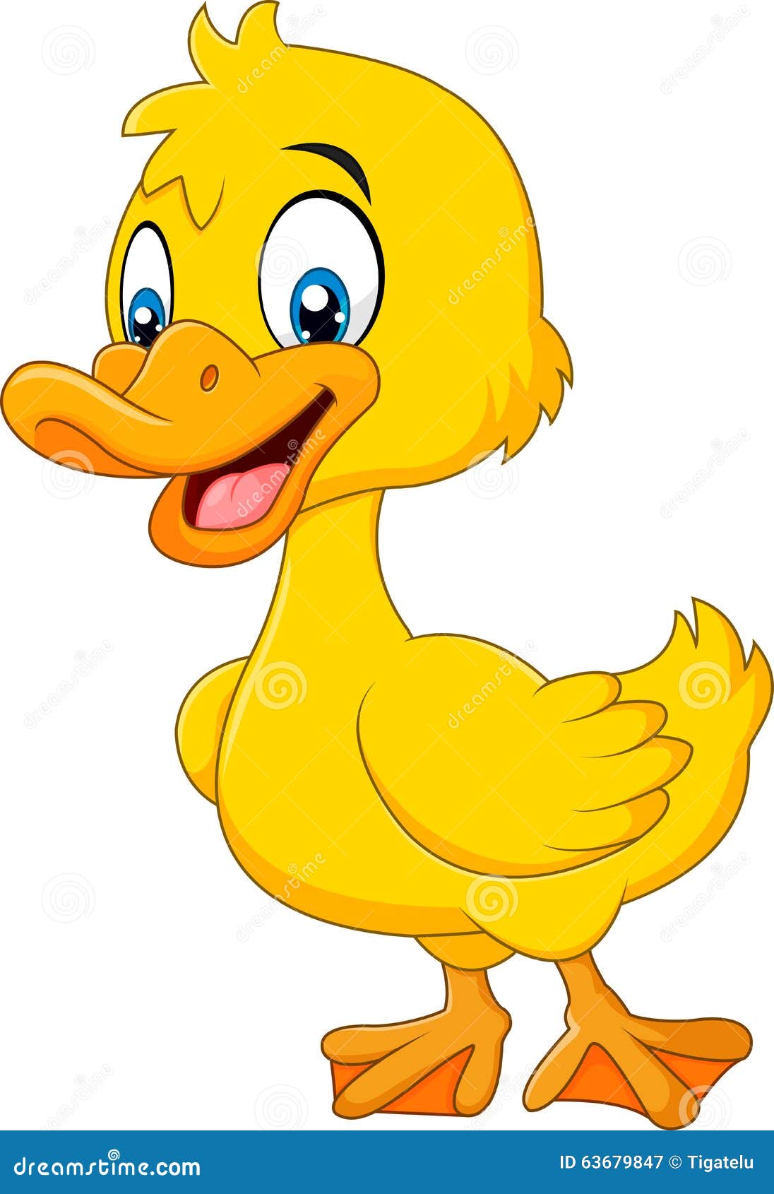 Cute Baby Duck Posing Isolated On White Background Stock Vector ...