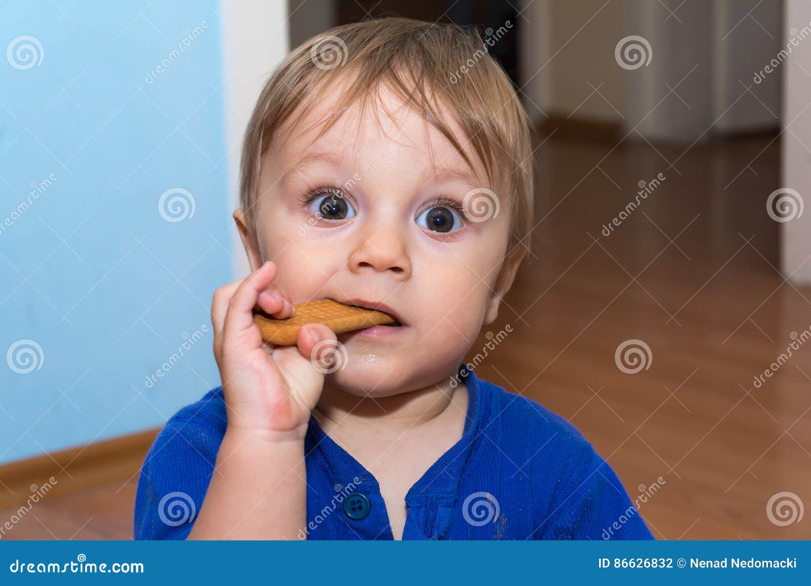 Cute baby is eating snack stock photo. Image of eating - 86626832