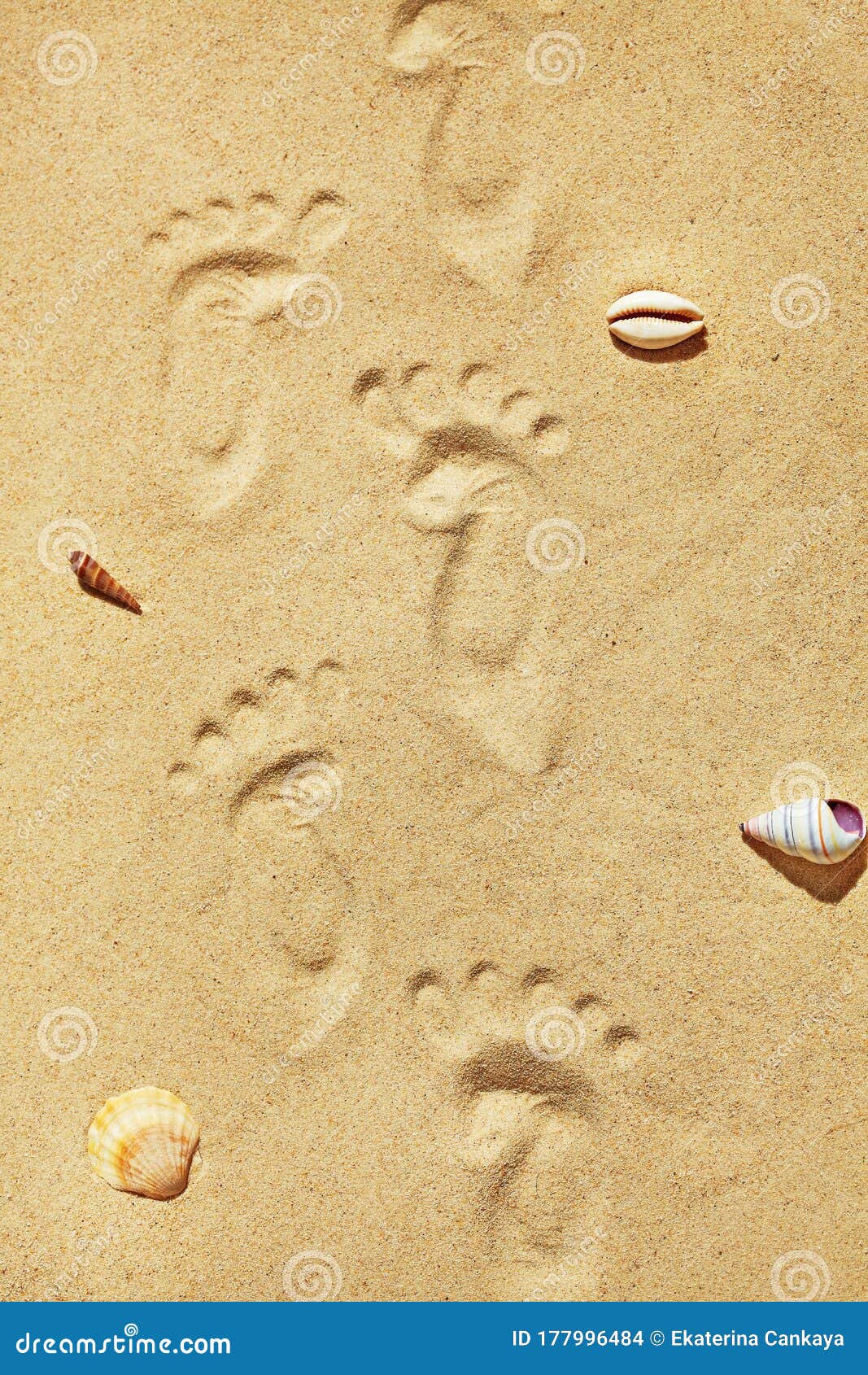 Cute Baby Footsteps on Sandy Beach with Space for Text or Design Stock ...