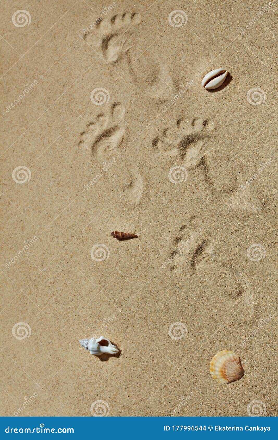 Cute Baby Footsteps on Sandy Beach with Space for Text or Design Stock ...
