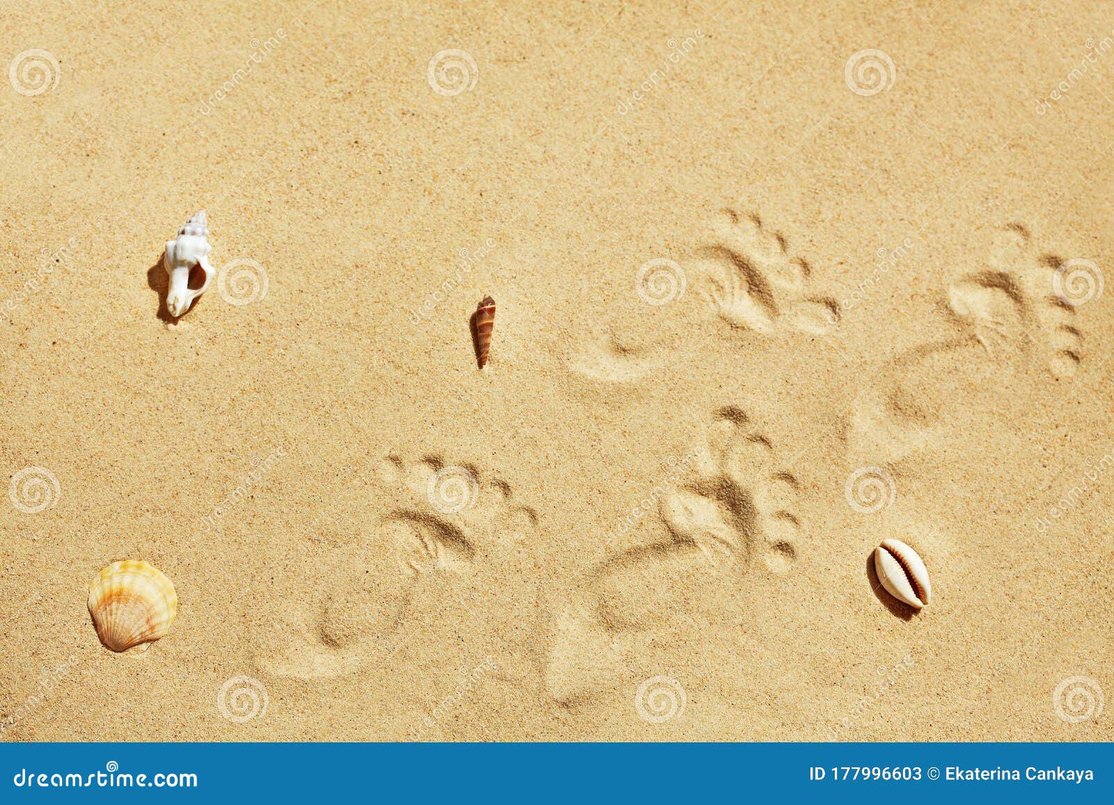 Cute Baby Footsteps on Sandy Beach with Space for Text or Design Stock ...