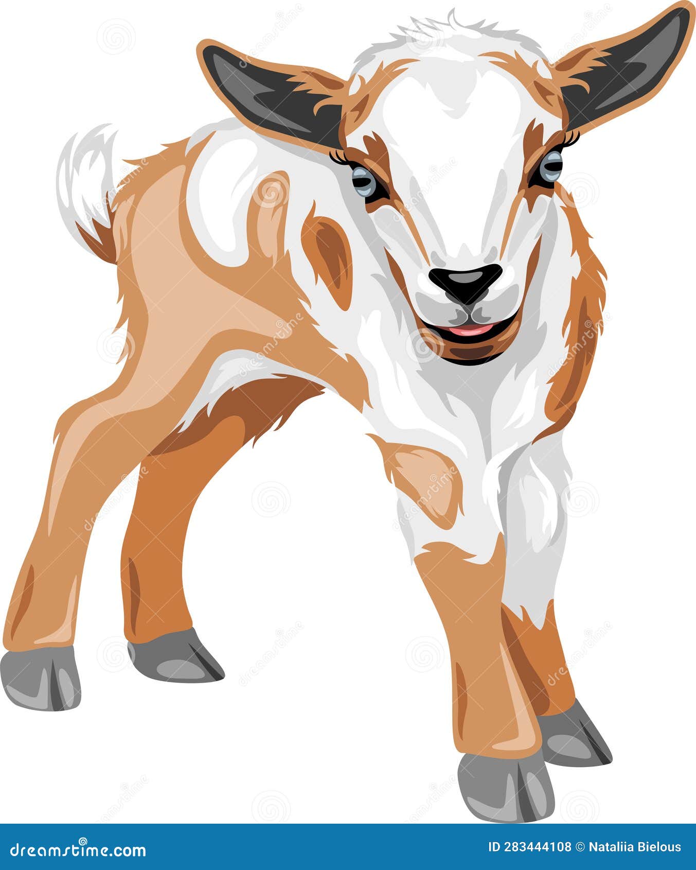 Cute Baby Goat Isolated on White Stock Vector - Illustration of cool ...