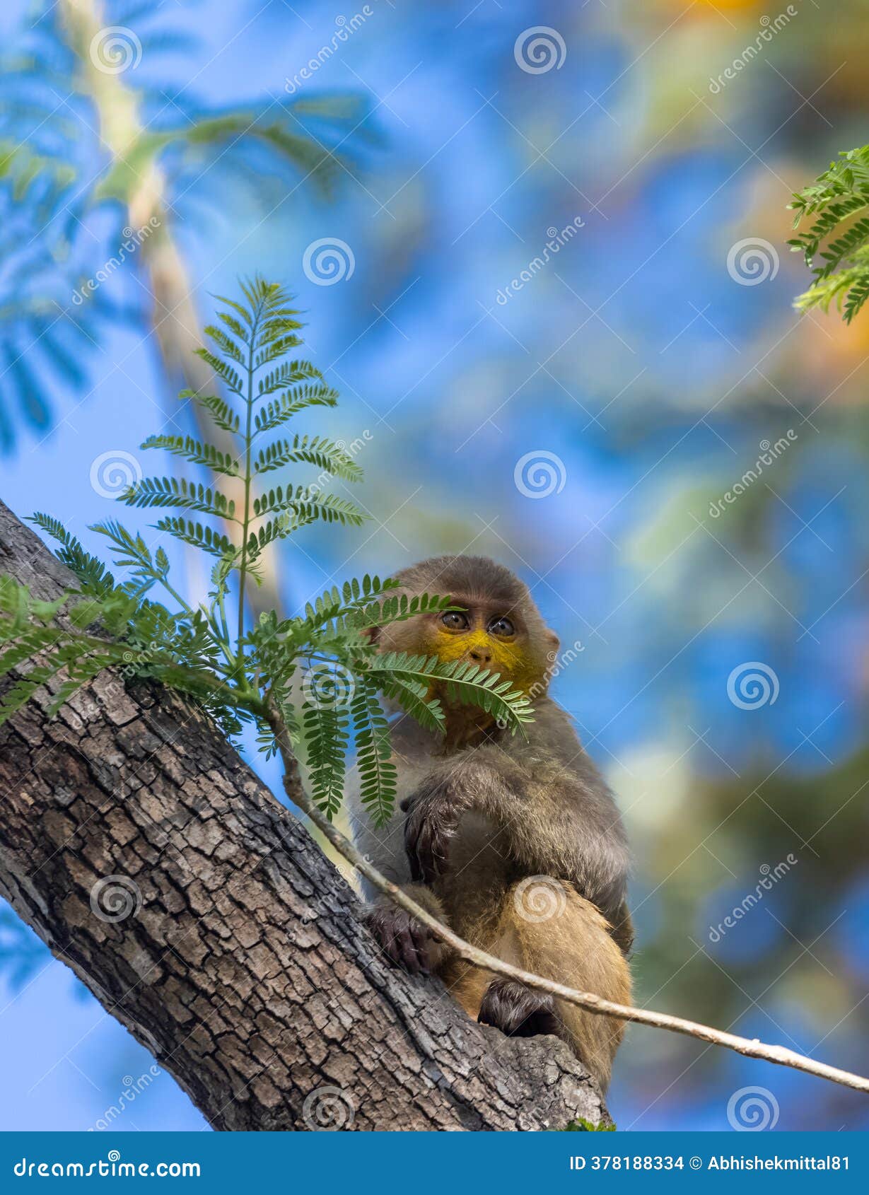 Devious Cute Young Attractive Redhead Woman With Curly Hair Pimples ...