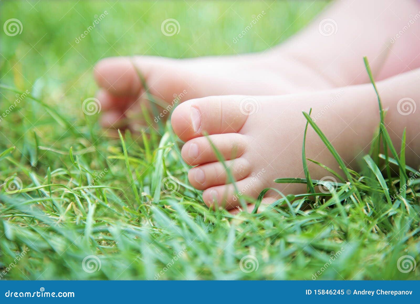 Cute Baby`s Feet on Green Grass Stock Image - Image of feet, sleeping ...
