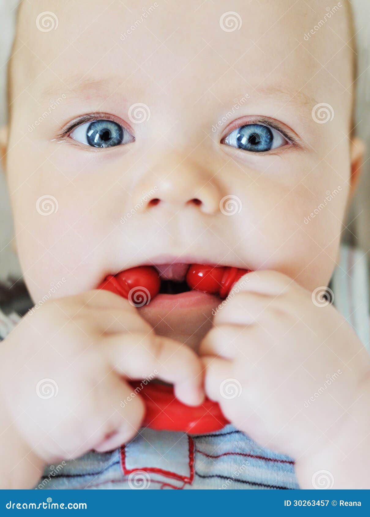 Baby biting a toy stock image. Image of offspring, cropped - 30263457