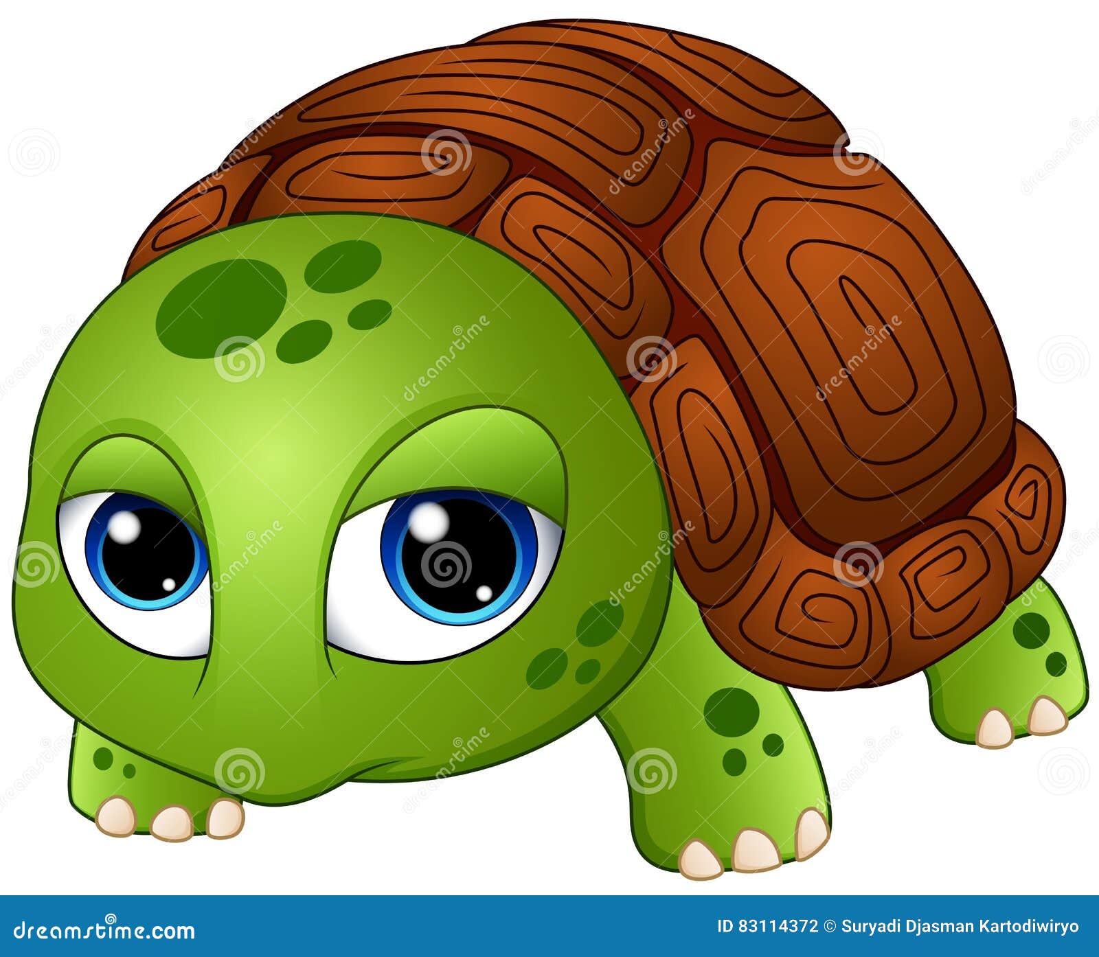 Cute Drawings Of Baby Turtles