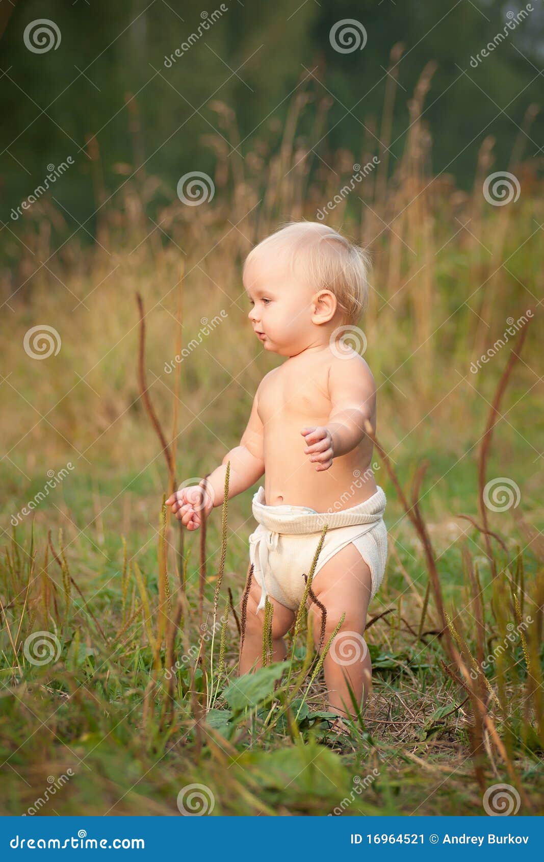 Cute Baby Walk in Park on Sunset Stock Image - Image of future, green ...