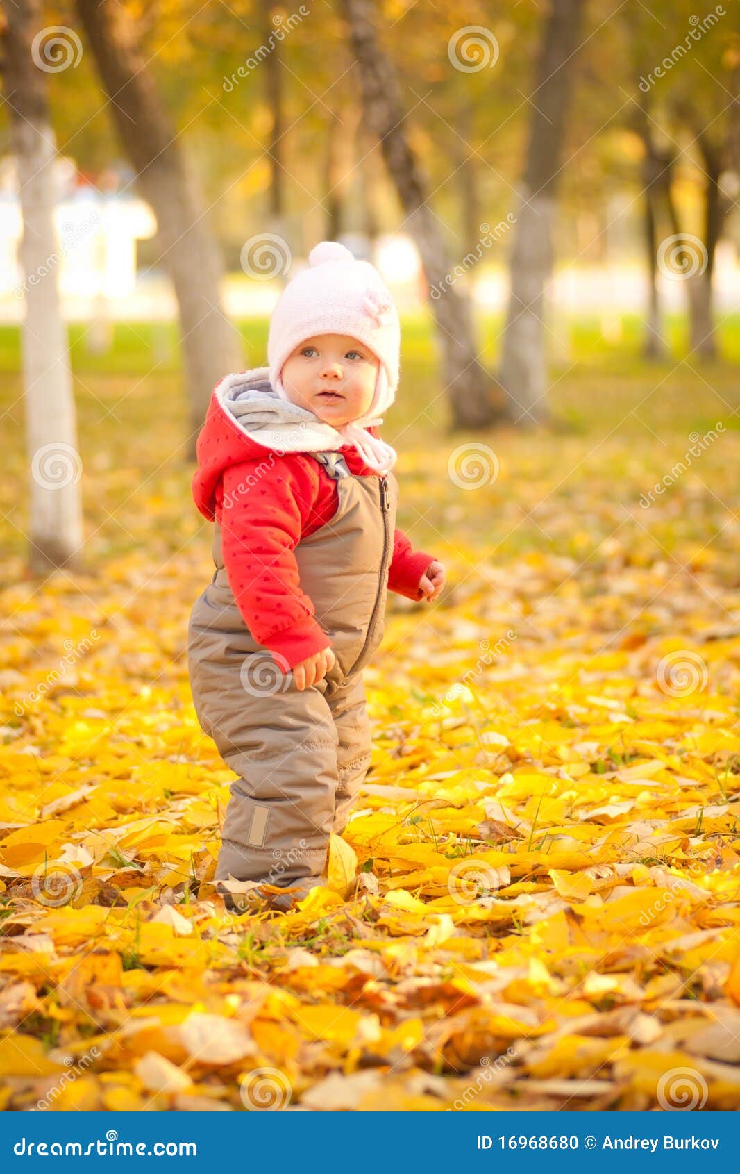 Cute Baby Walking in Park Near Trees Stock Photo - Image of leaves ...