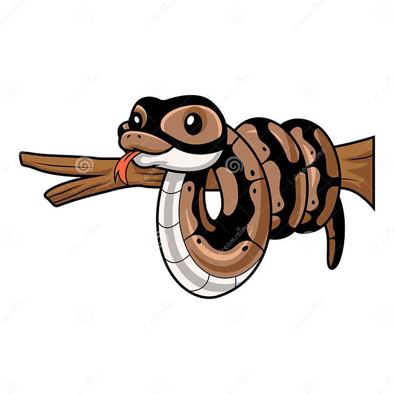 Cute Ball Python Snake Cartoon on Tree Branch Stock Vector ...