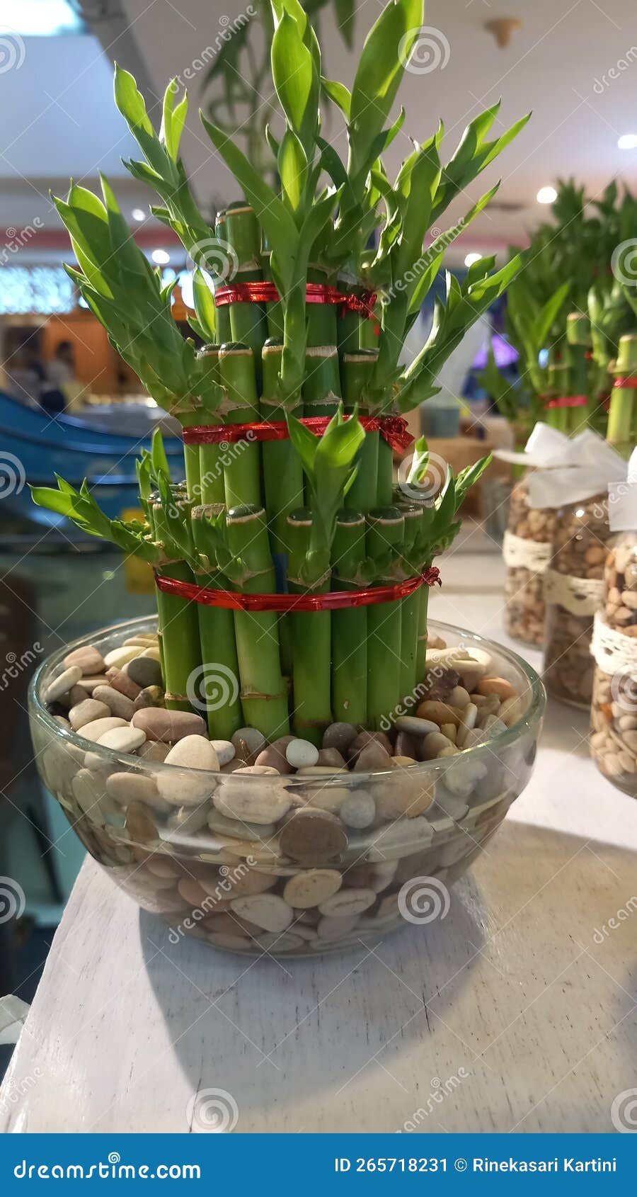 Cute Cat On Bamboo Fence Stock Image | CartoonDealer.com #90267277