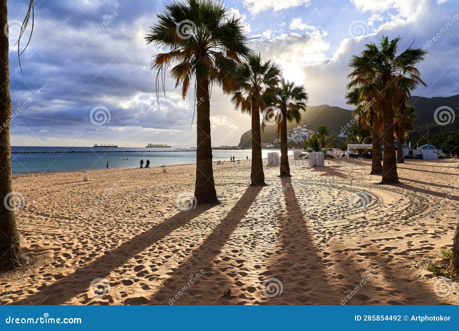 Cute Beach with Palm Trees in the Background Light. the Concept of ...