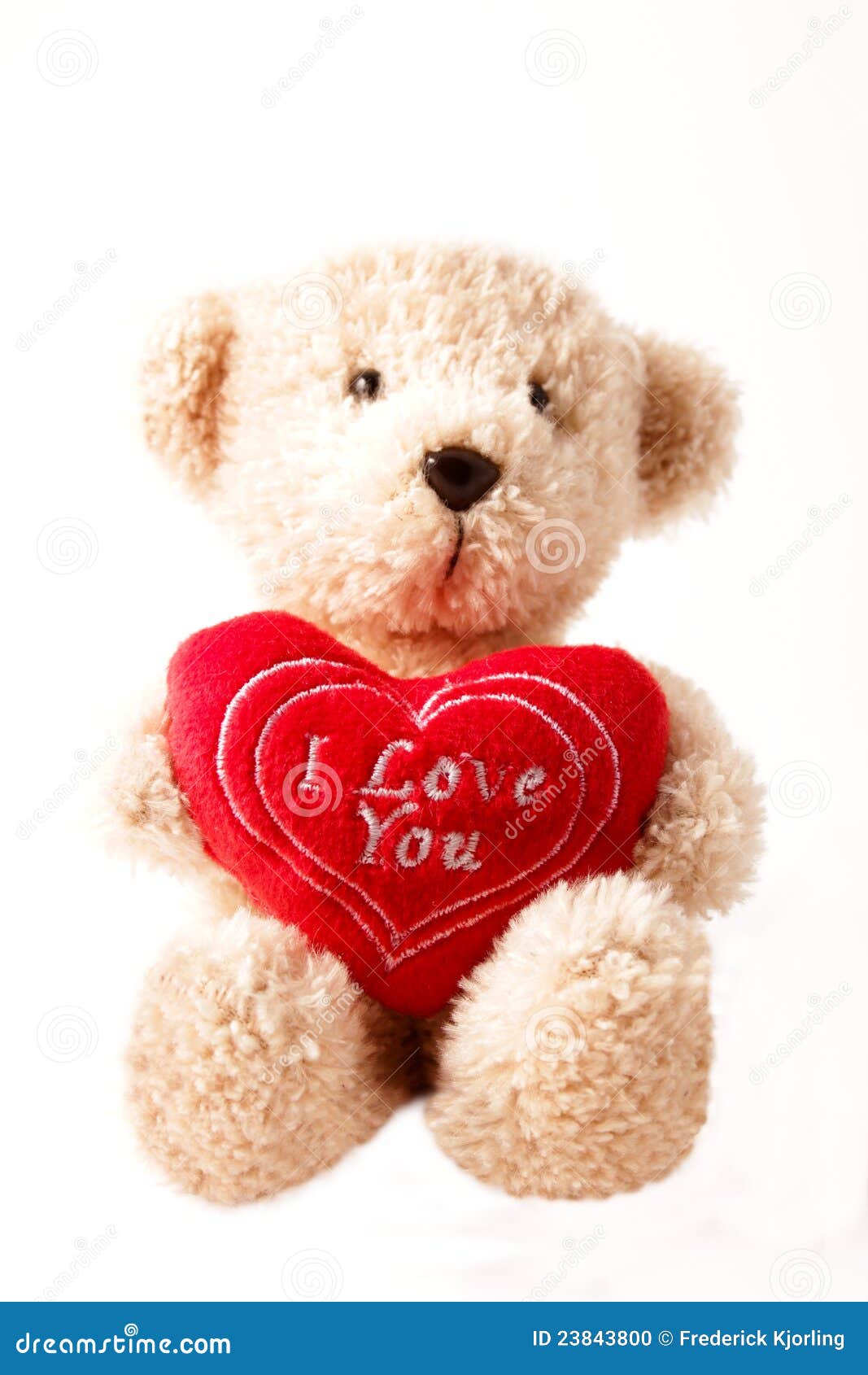 Cute bear stock photo. Image of cute, heart, affection - 23843800