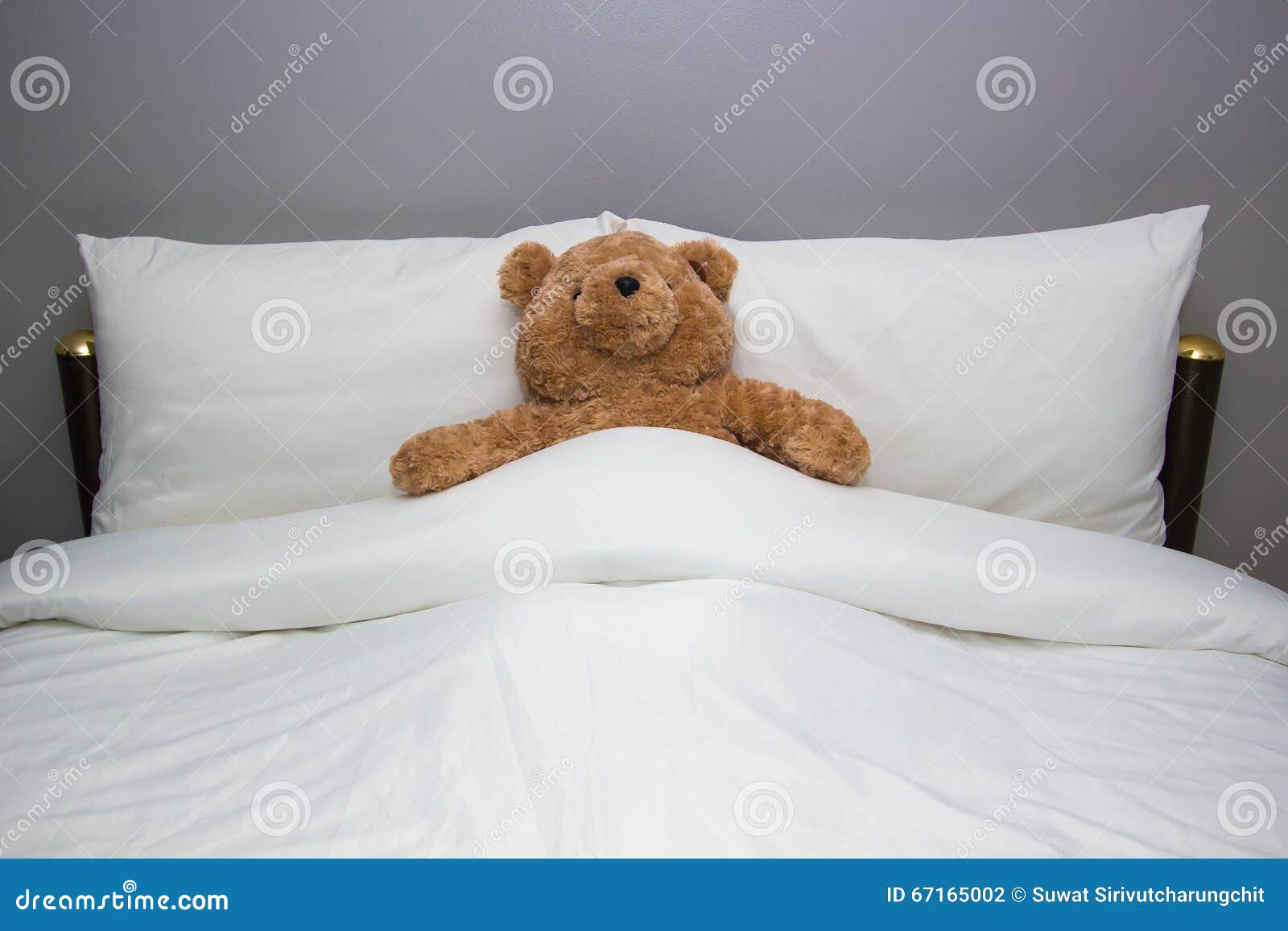 Cute Bear on the bed stock photo. Image of love, gift - 67165002