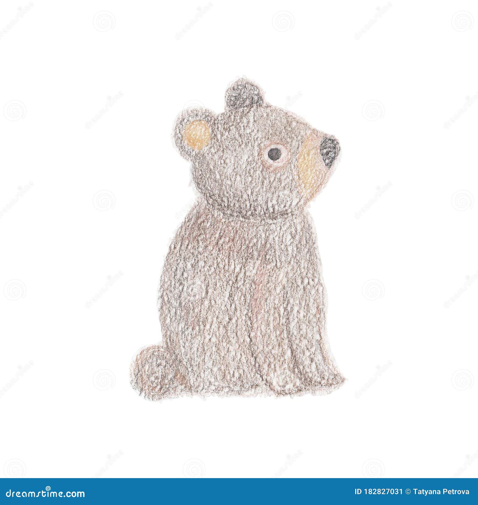 Cute Bear. Hand Drawn Illustration. Drawing with Colored Pencils ...