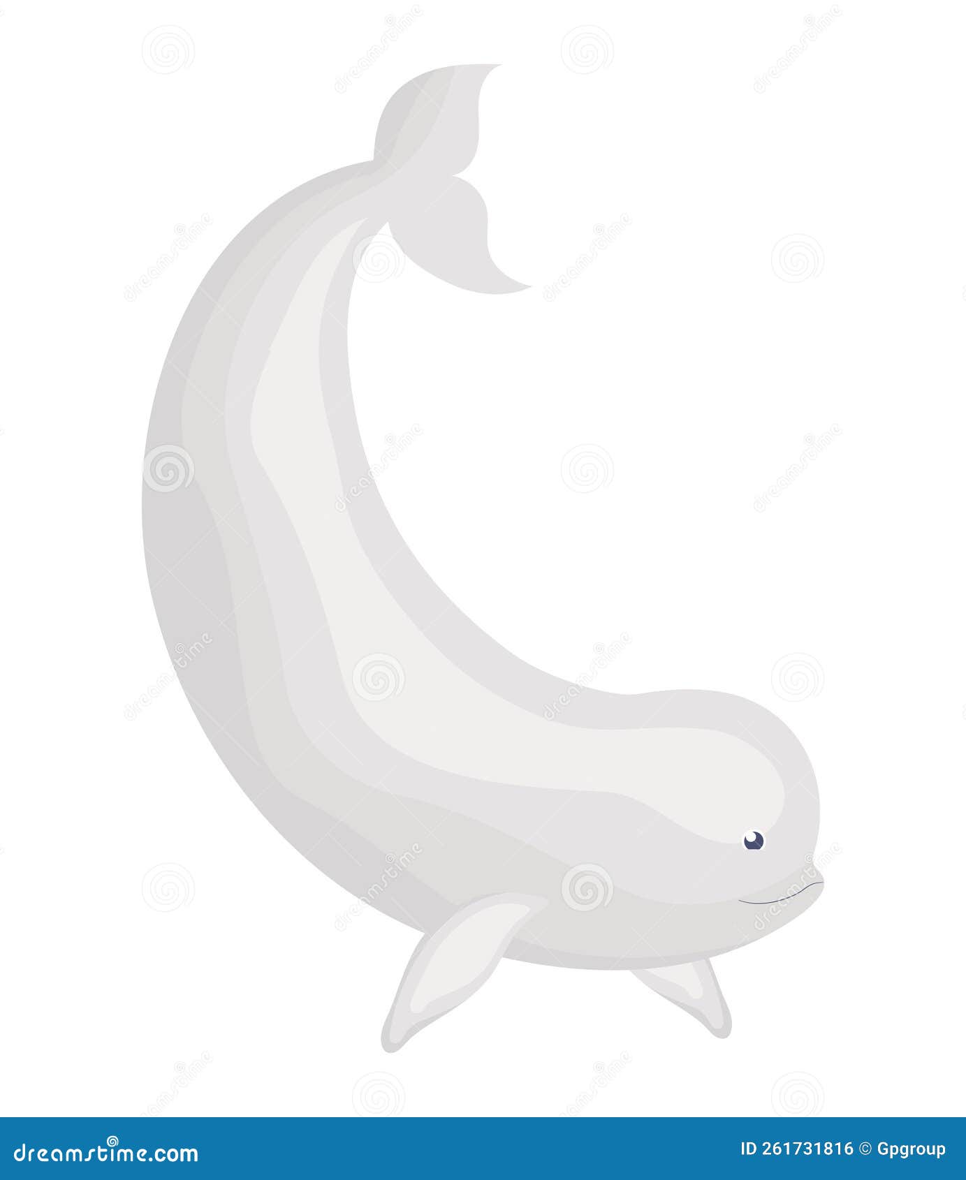 Cute beluga design stock vector. Illustration of vector - 261731816
