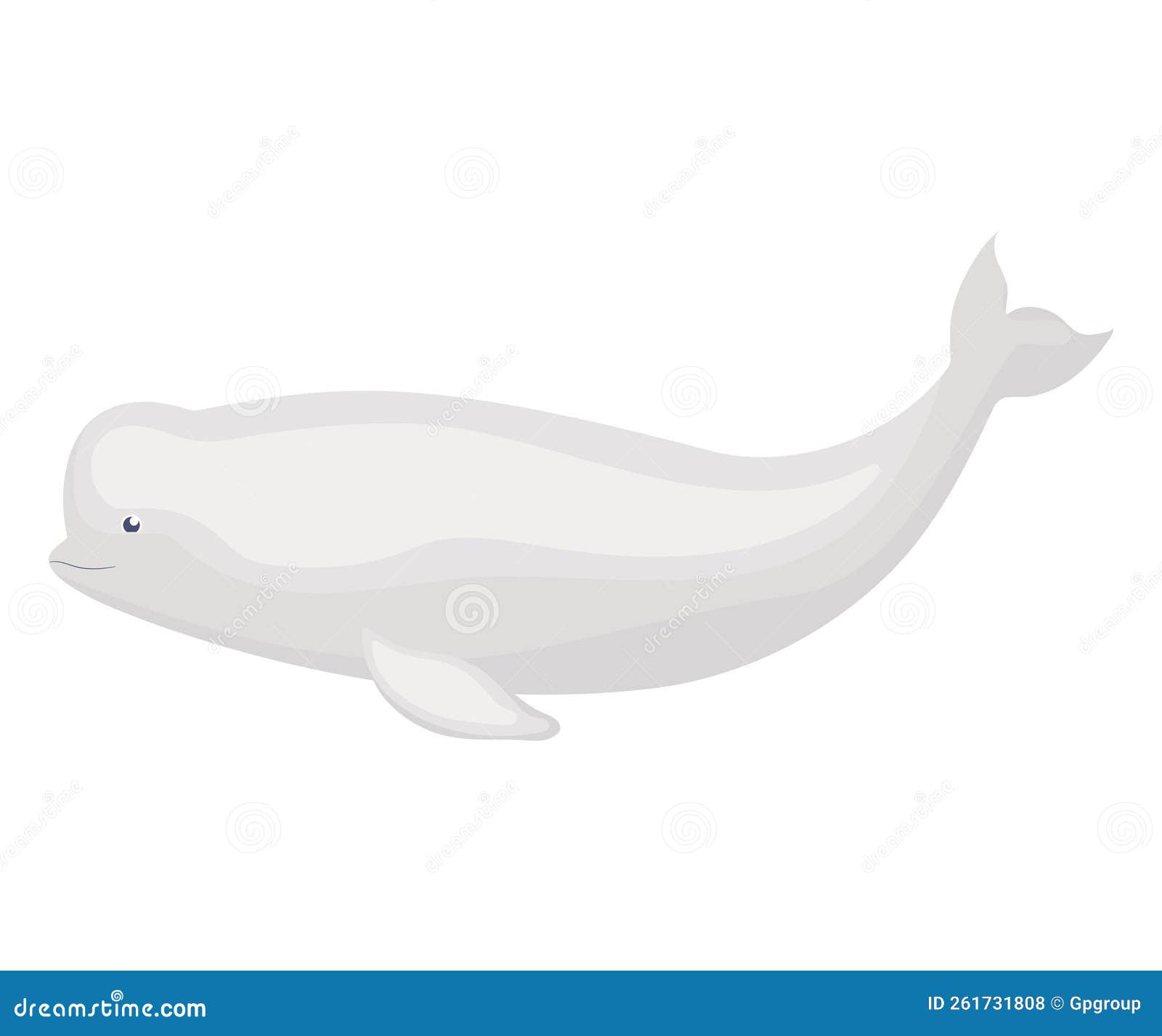 Beluga Illustration, Drawing, Engraving, Ink, Line Art, Vector ...
