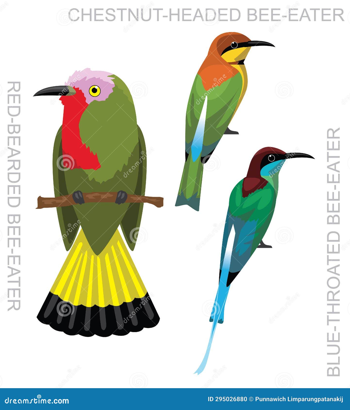 Cute Bird Asean Bee-Eater Set Cartoon Vector Stock Vector ...