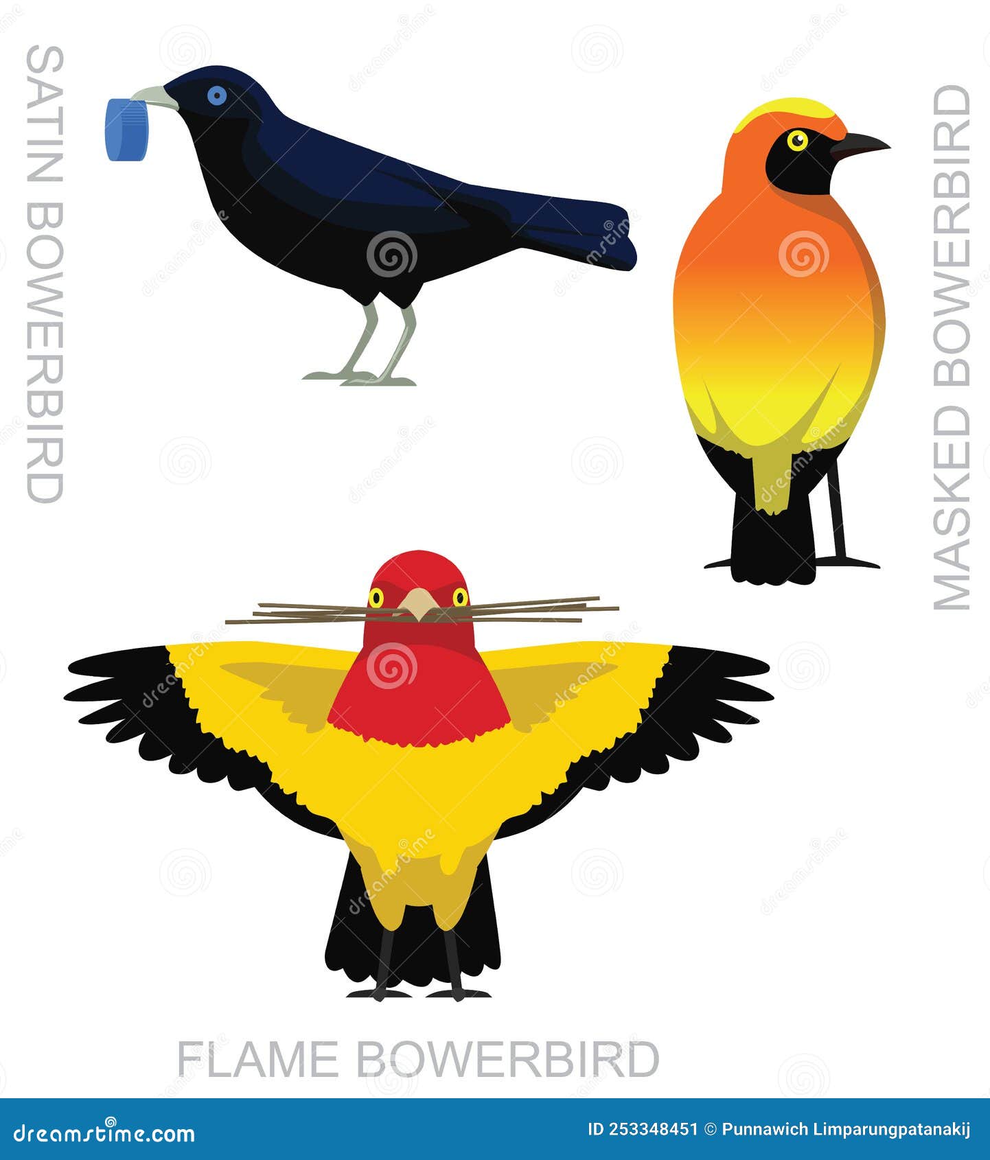 Cute Bird Bowerbird Set Cartoon Vector Stock Vector - Illustration of ...