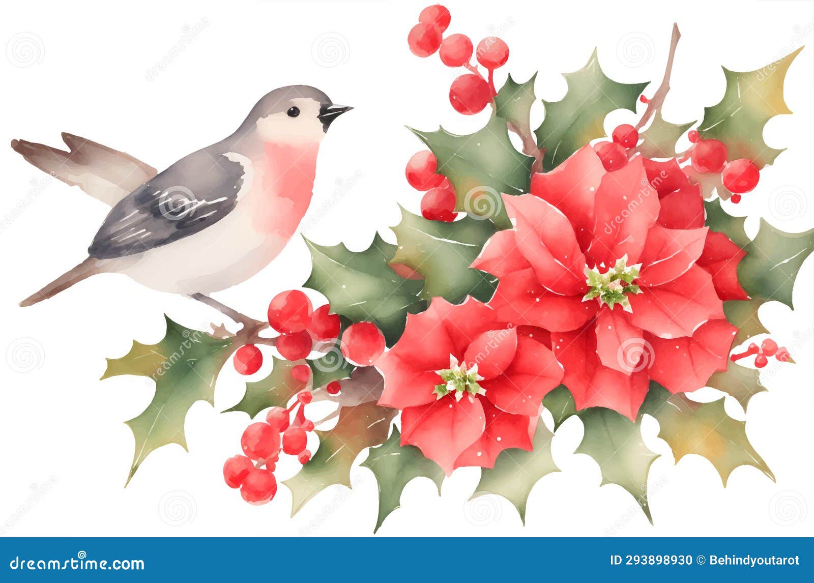 Cute Bird and Holly Tree, Hand Painted Illustration Isolated on White ...
