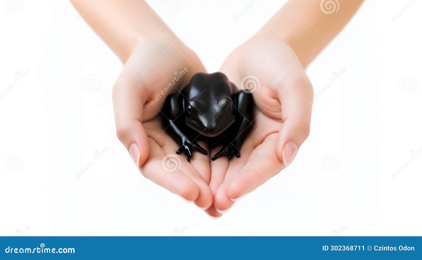Cute black frog in hands. stock illustration. Illustration of concept ...