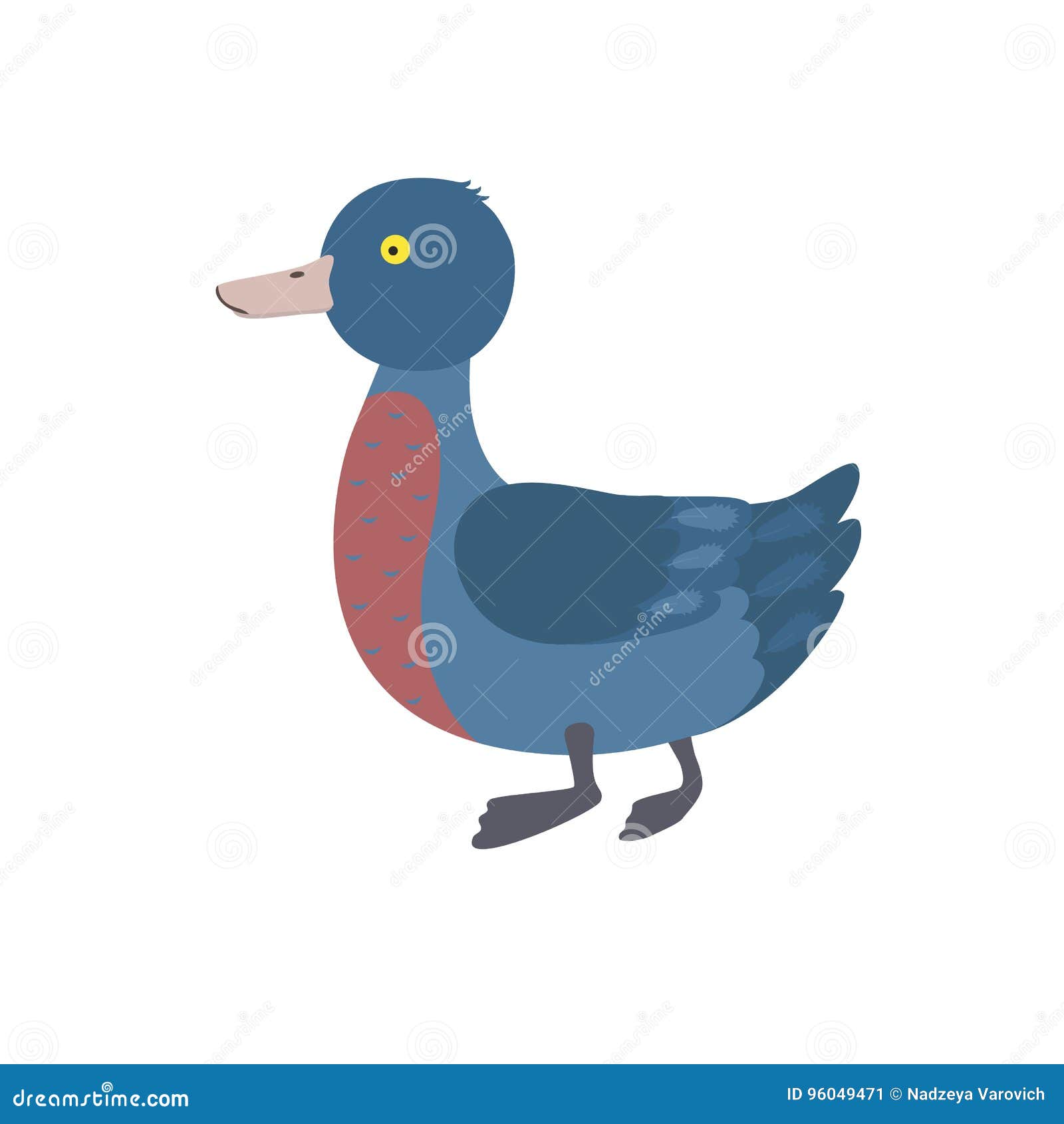 Cute blue duck Whio stock vector. Illustration of comical - 96049471