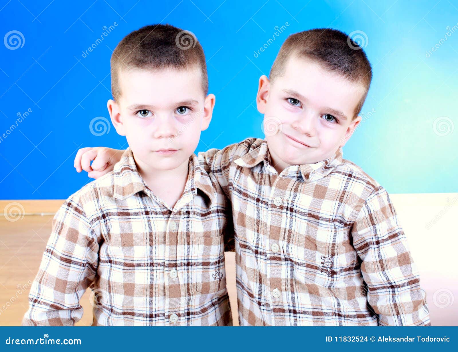 Cute Blue-cream Colorpoint Persian Kitten On A Blue Bed Stock Image ...