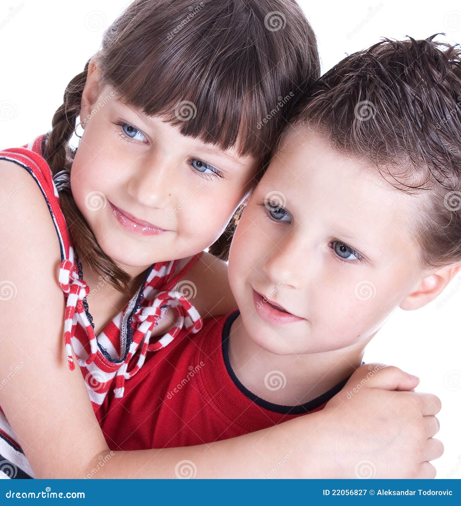 Cute Blue-cream Colorpoint Persian Kitten On A Blue Bed Stock Image ...