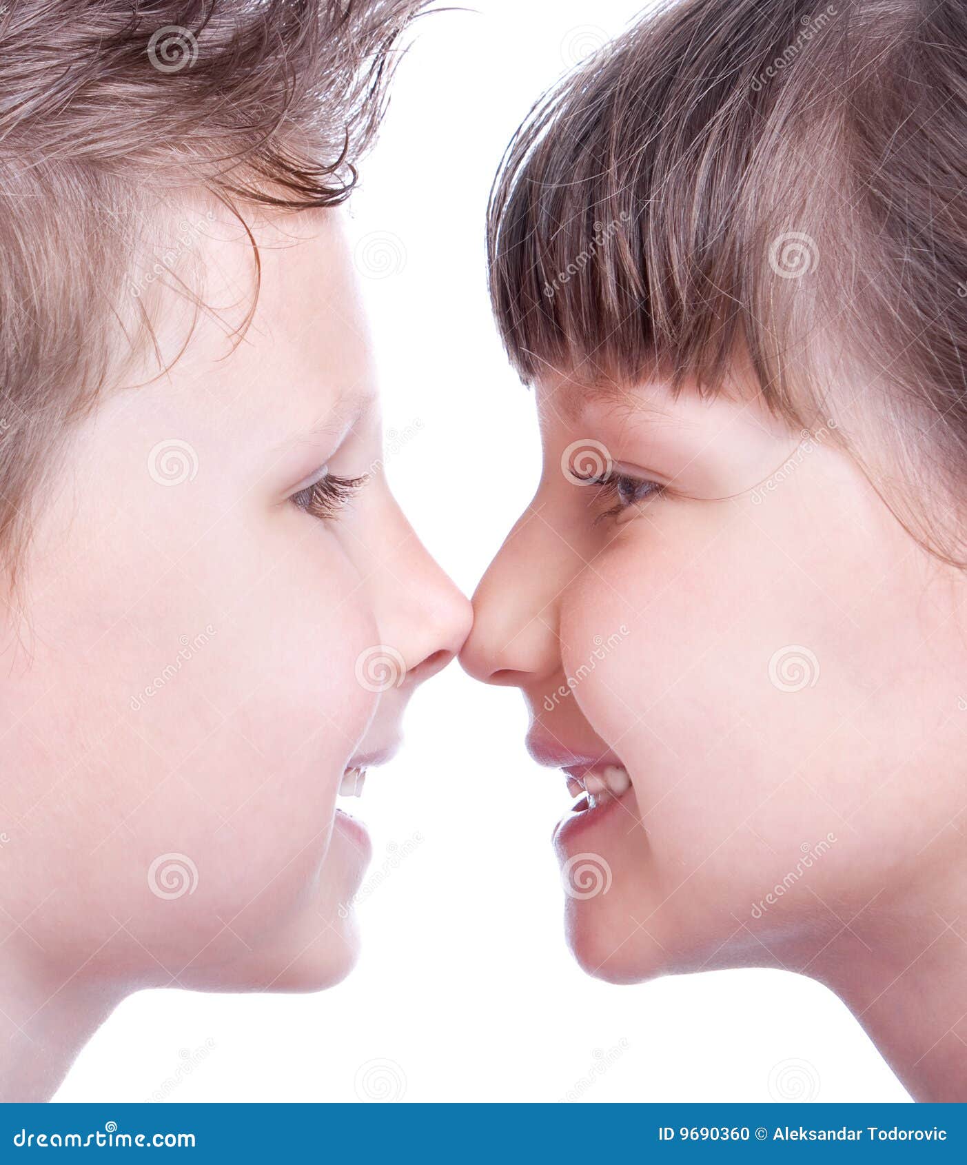 Cute Blue-cream Colorpoint Persian Kitten On A Blue Bed Stock Image ...