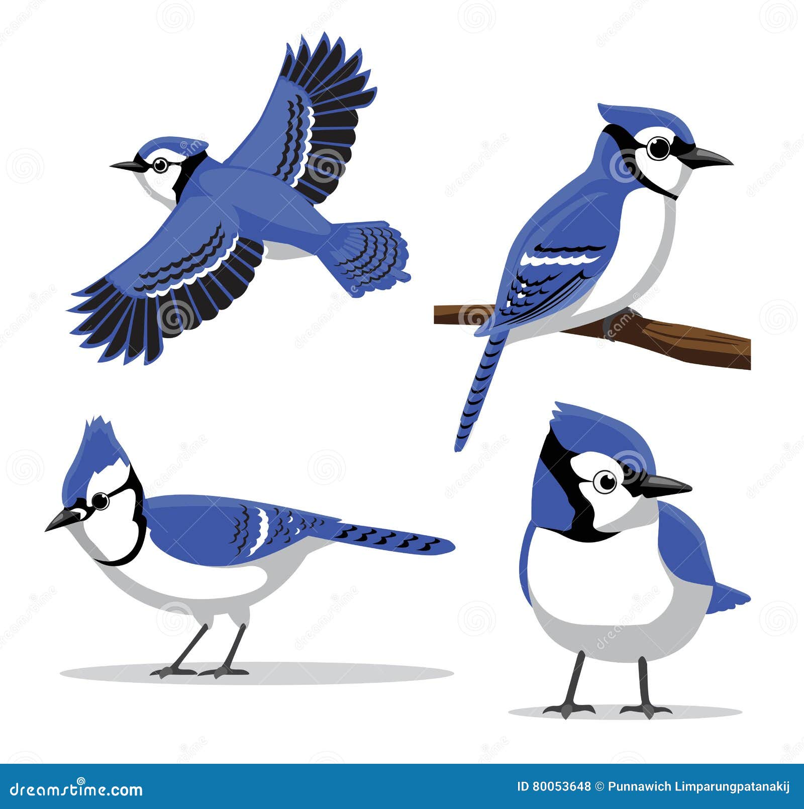 Cute Blue Jay Poses Cartoon Vector Illustration Stock Vector ...