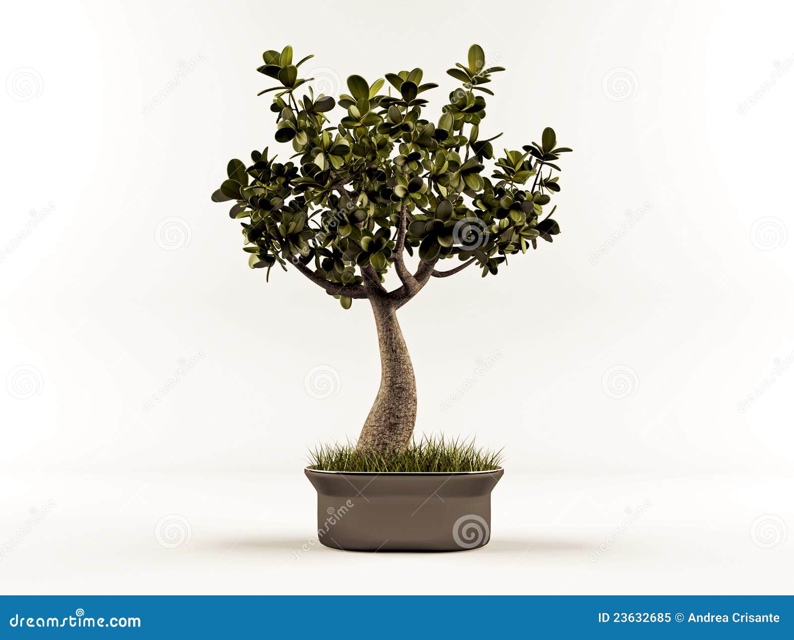 Cute bonsai stock illustration. Illustration of background - 23632685