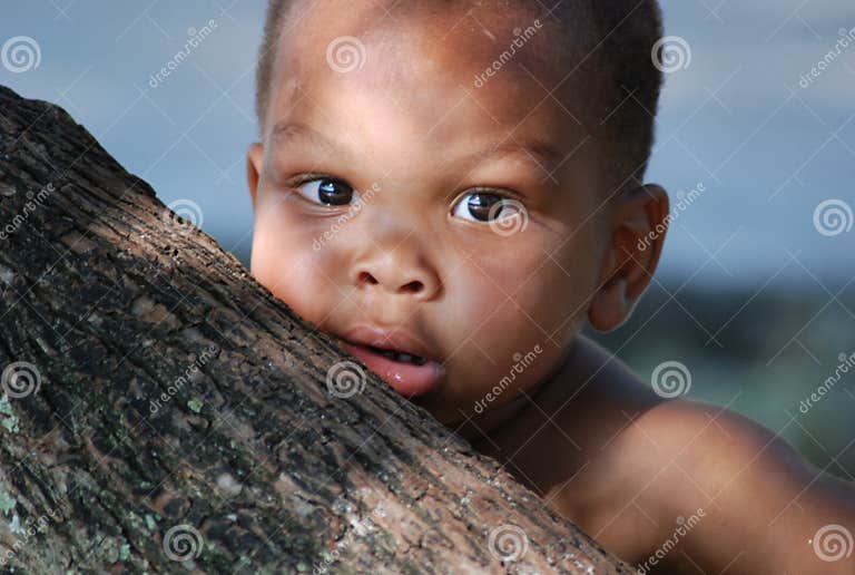 Cute Boy stock photo. Image of stare, look, multiracial - 2731794