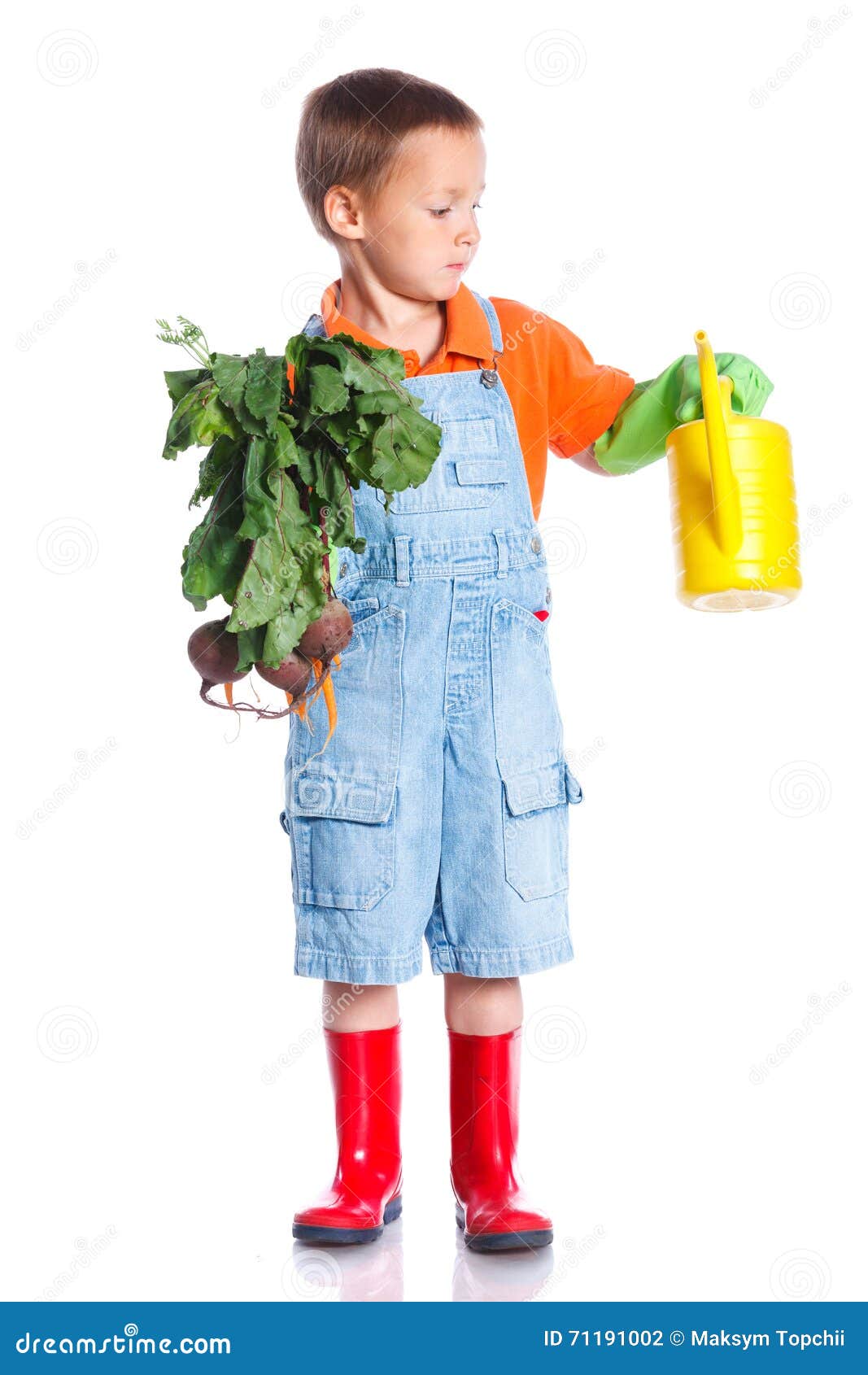 Cute boy gardener stock photo. Image of parents, green - 71191002