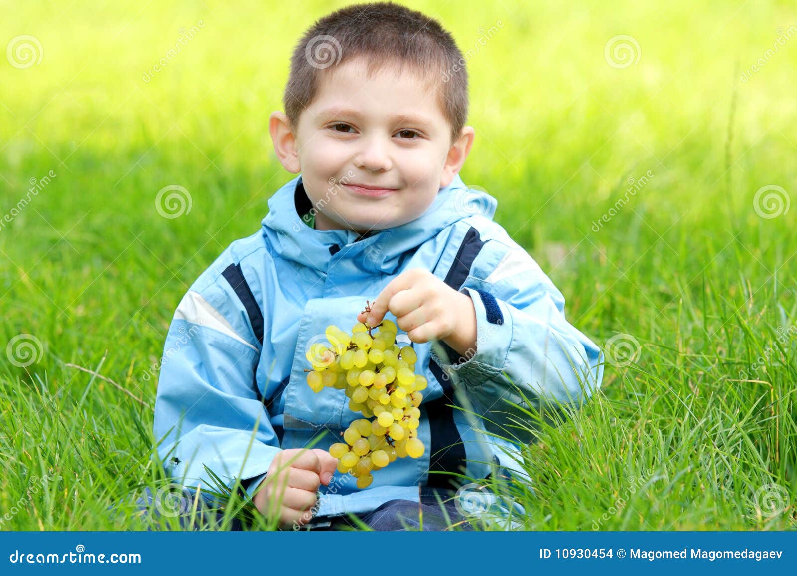 Cute boy with grapes stock photo. Image of bunch, little - 10930454