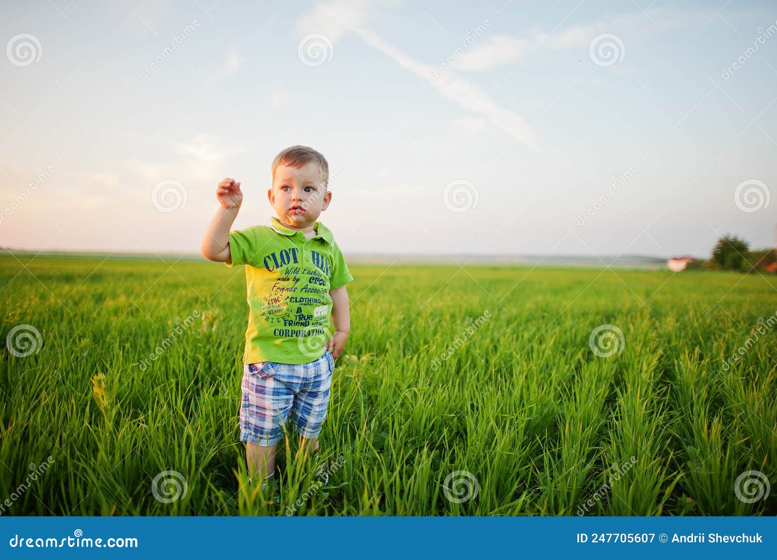 Cute Boy in Green Grass Field at Evening Stock Image - Image of field ...