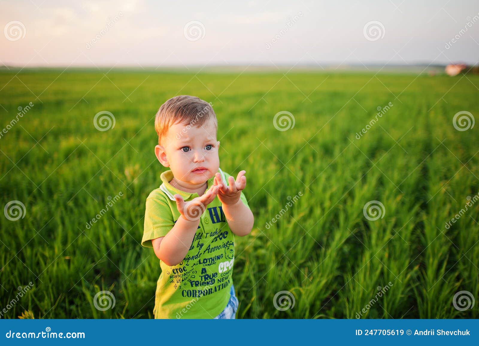 Cute Boy in Green Grass Field at Evening Stock Image - Image of enjoy ...