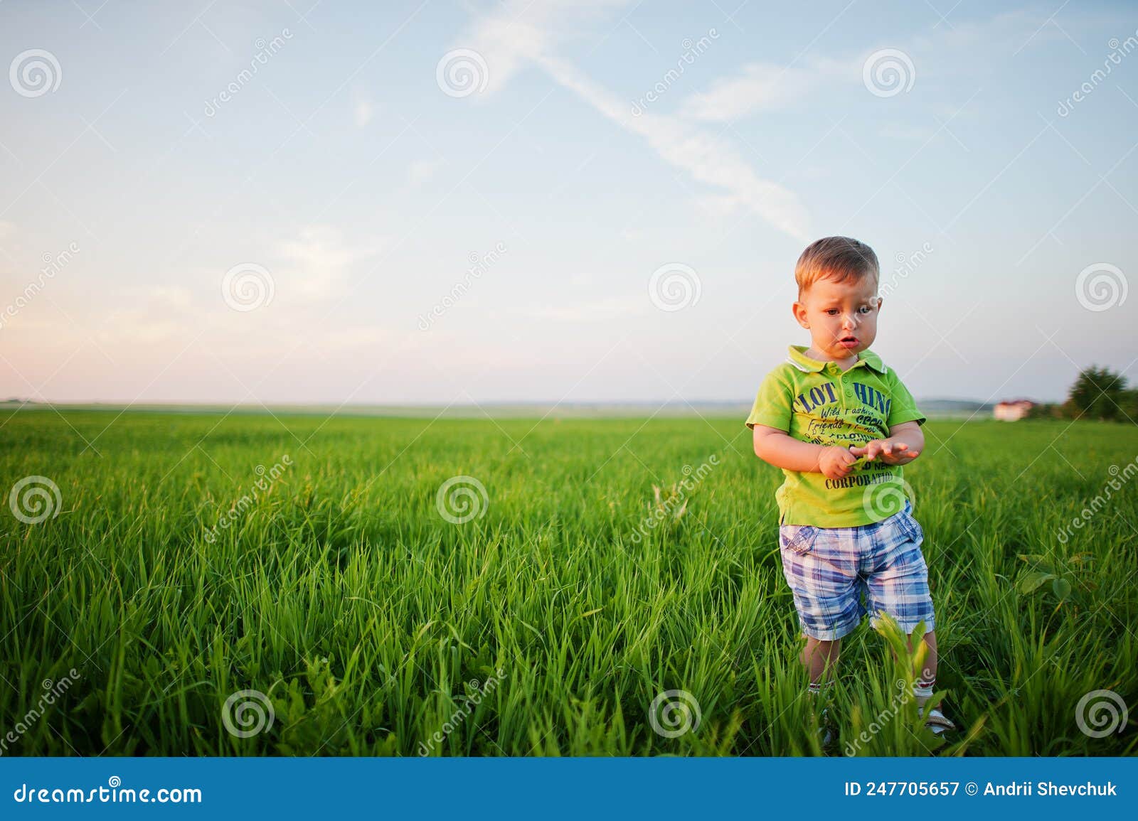 Cute Boy in Green Grass Field at Evening Stock Image - Image of holiday ...