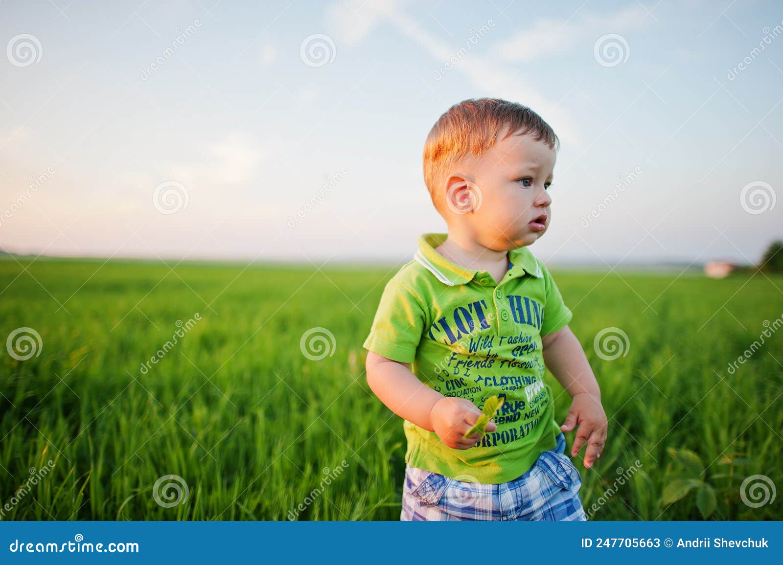 Cute Boy in Green Grass Field at Evening Stock Image - Image of nature ...