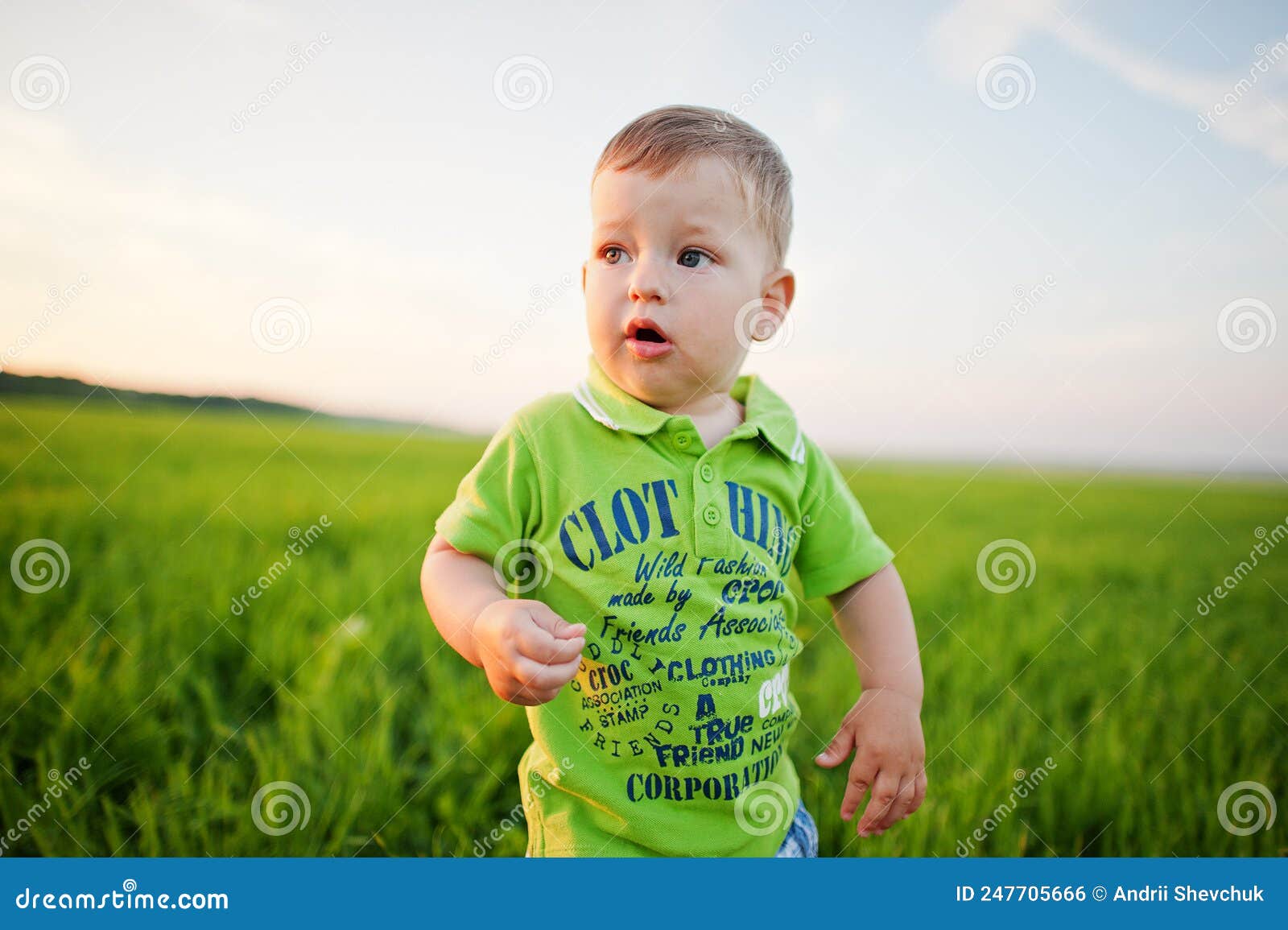 Cute Boy in Green Grass Field at Evening Stock Photo - Image of freedom ...
