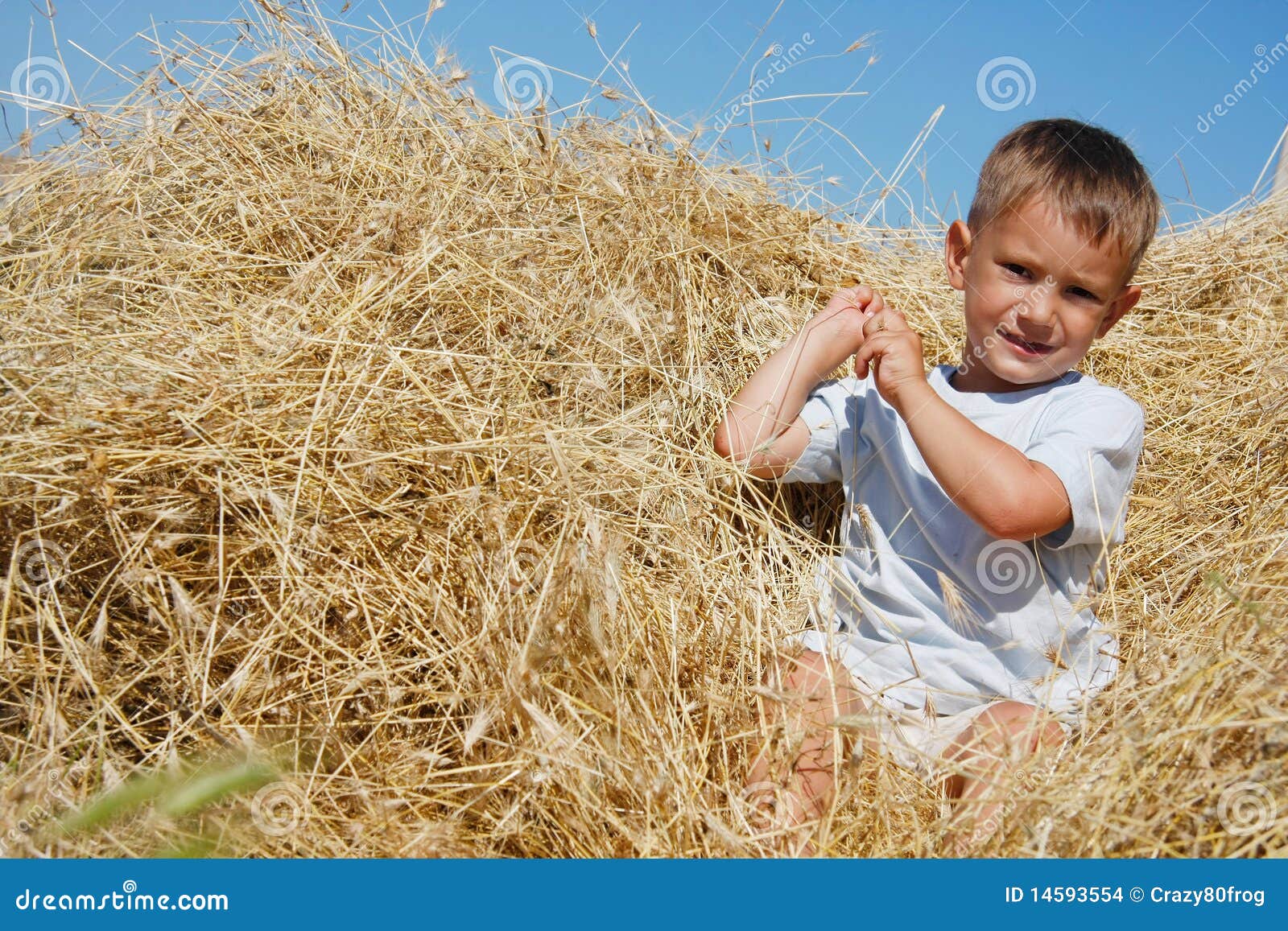 Cute boy in haystack stock photo. Image of hayrick, childhood - 14593554