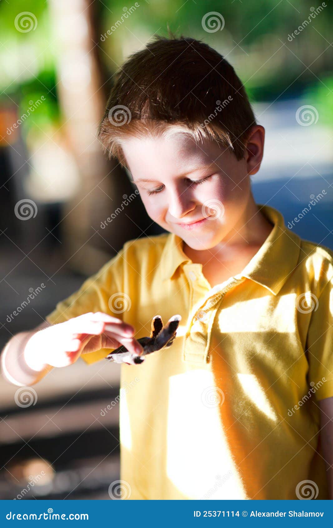Cute Boy Holding Baby Turtle Stock Photo - Image of holding, wildlife ...